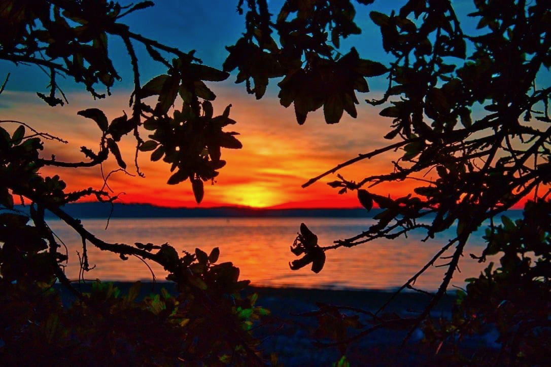 Sunset of the week 1-25-21 | Westside Seattle